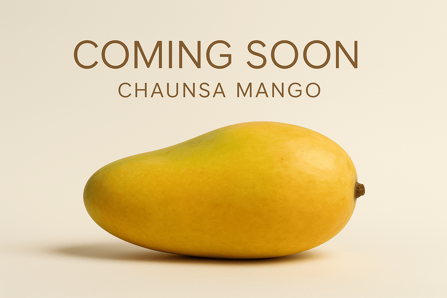 Chaunsa Mangoes - Box of 12 (UK Delivery) – Alphonso Mango