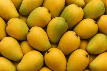 Fresh Alphonso Mangoes Delivered to Your Door in the UK - Best Quality